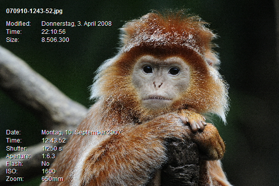 Picture Information Extractor - EXIF IPTC | Picmeta Systems